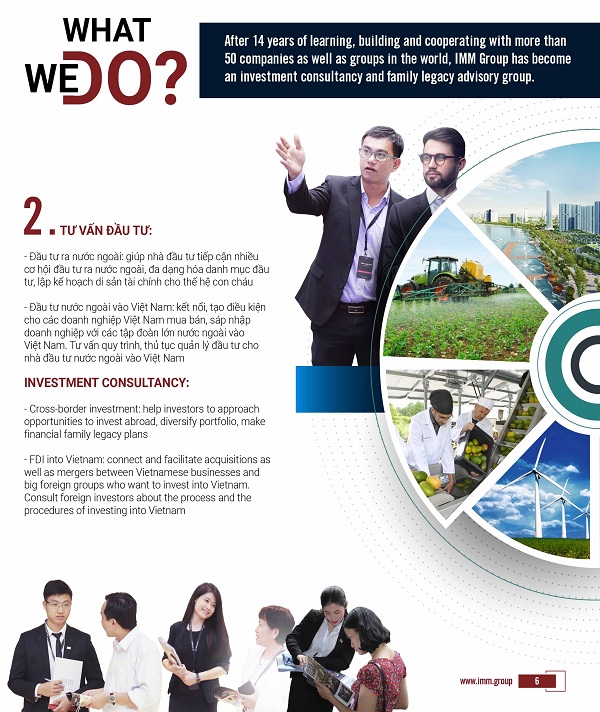 Thông tin IMM Group 2019 - IMM Group
